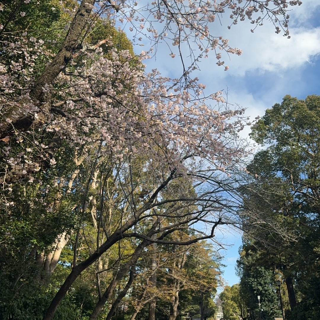 Stream Kellyjellu | Listen to Kelly hope this works playlist online for ...