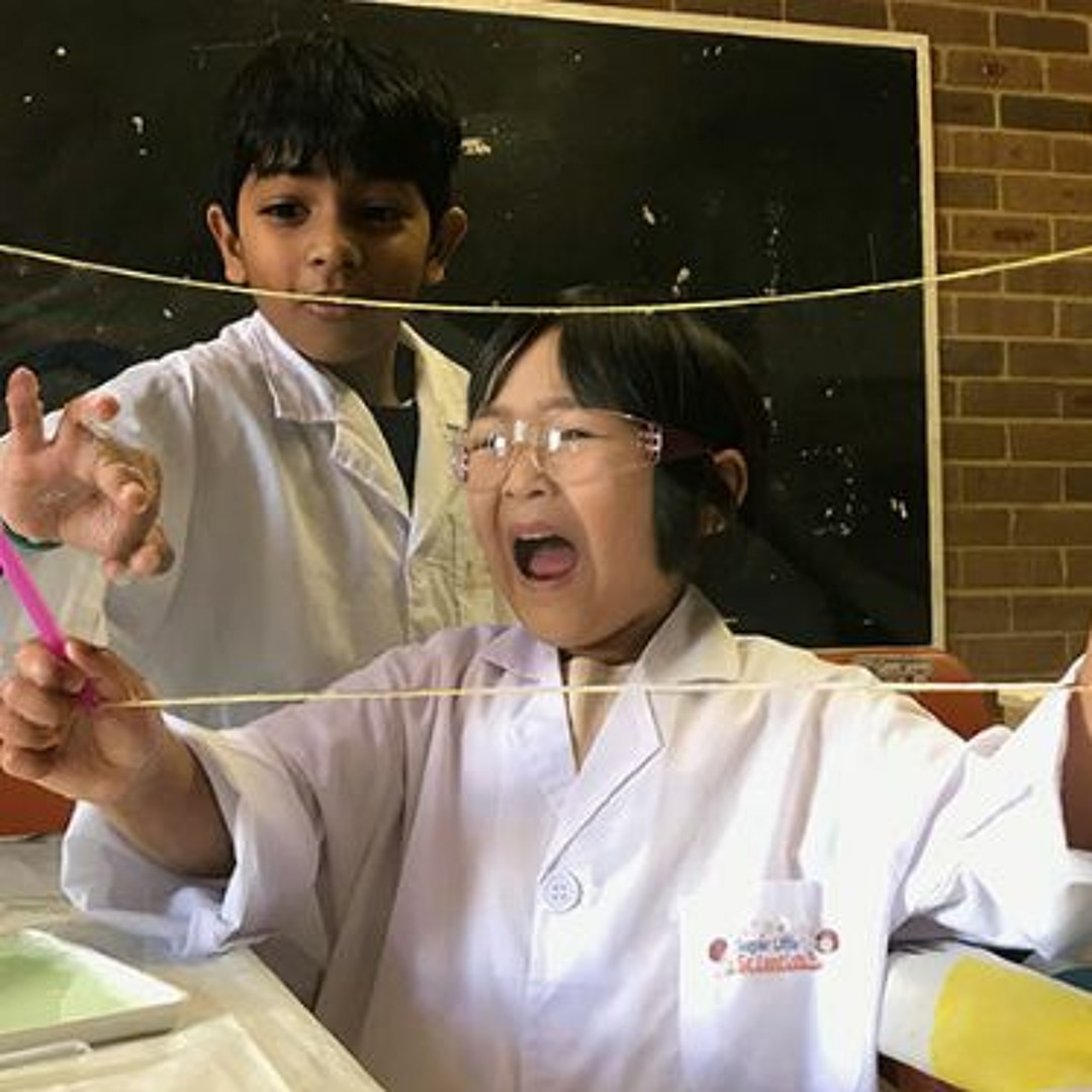 Stream A Comprehensive Guide Of School Incursions And Its Importance by ...