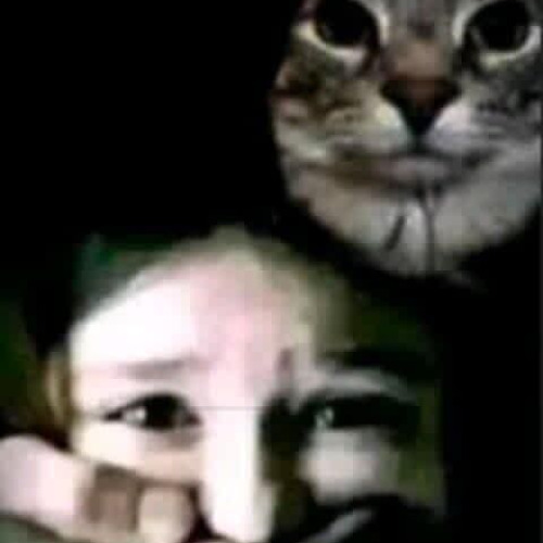 Stream Poppy by margo proxy | Listen online for free on SoundCloud