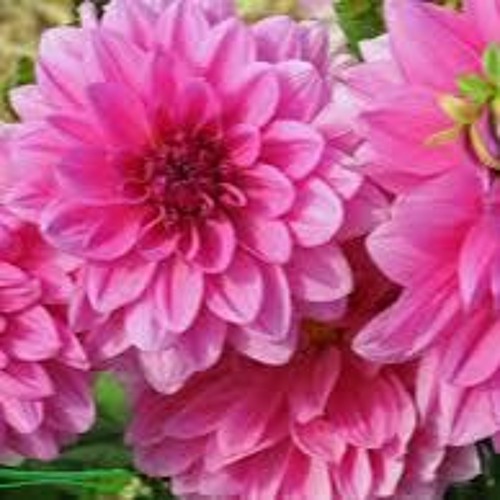 Stream "Bluesette" - 168 Waltz by Tim Laskey | Listen online for free ...