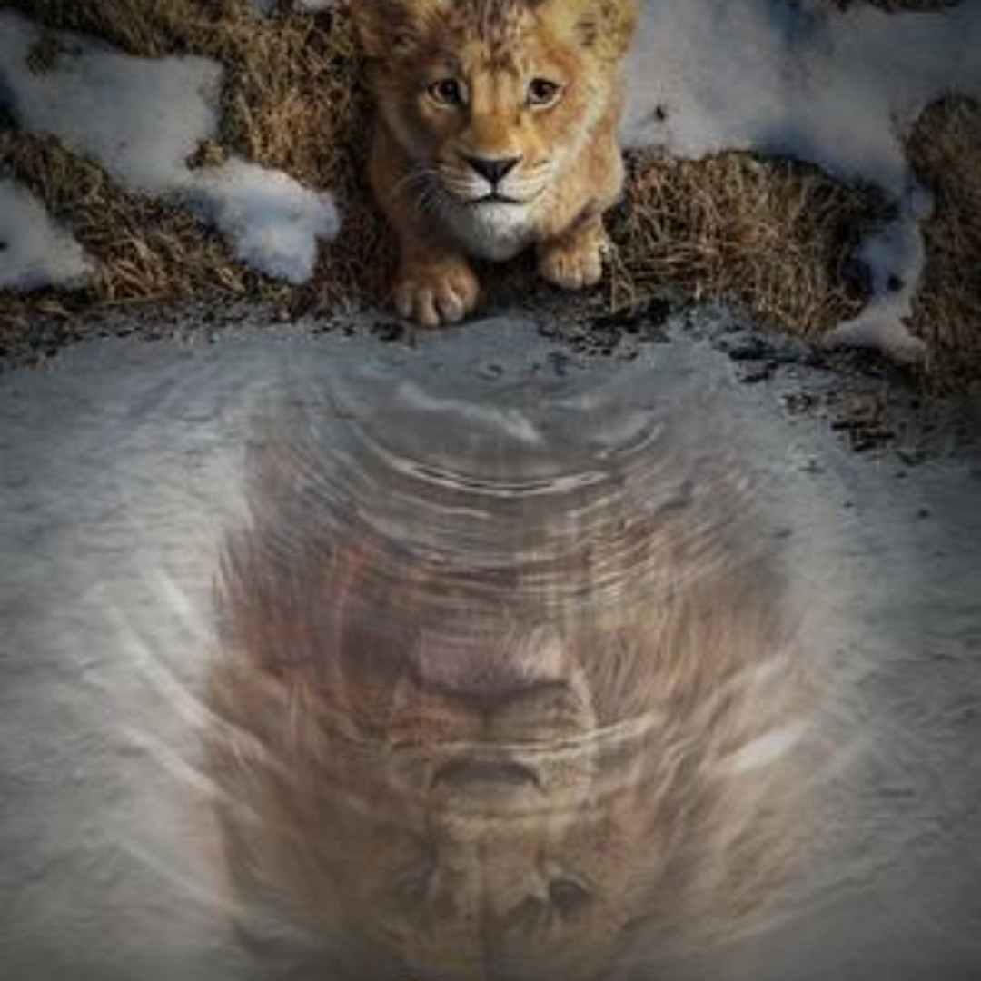 Listen to playlists featuring [VIDER] Mufasa: Król Lew (2025) Cały Film ...