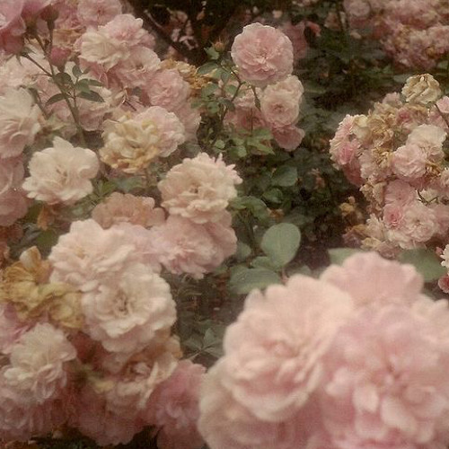 Stream wait by Z | Listen online for free on SoundCloud