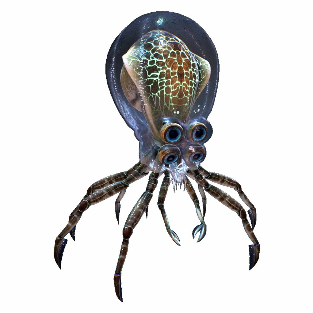 Stream Crabsquid Sounds by Subnautica_sounds | Listen online for free ...