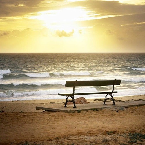 Stream Matt Haughey- Learn to Breath (Unofficial) by Soundcenter ...