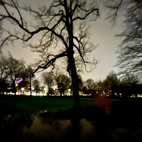 Stream Bloom by andrew x | Listen online for free on SoundCloud