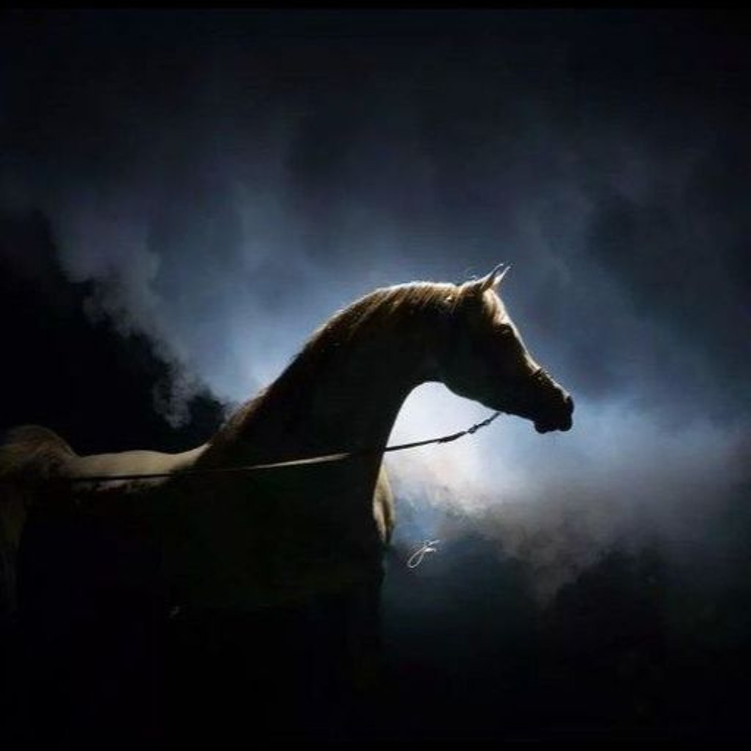 Stream Sam Papoutsis.Cool Funq | Listen to Unit 5 Assignment 3 Sound ...