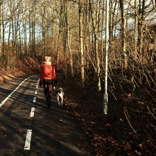 Stream Signe Bengtsson | Listen to run. playlist online for free on ...