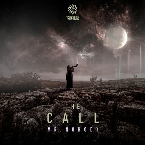 Stream Mr. Nobody - The Call by Mr. Nobody | Listen online for free on ...
