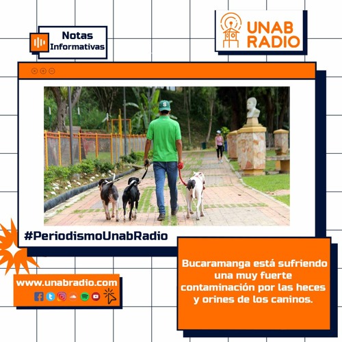 Stream Periodismo Unab Radio - El daño ambiental que se está ocasionando por las heces de ...