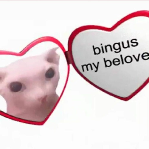 Stream Bingus Rock - Iida Karoliina by Will's Musical Archive | Listen ...