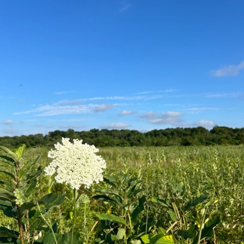 Stream Inward, Hidden Parts (I Am Made So Awesomely) by The Fruit of ...