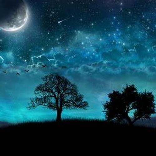 Quiet Night Wallpaper