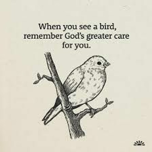 Stream Tuhan Tahu - Hansen Lim (Cover) by Hansen Lim | Listen online ...