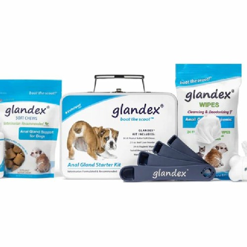 Stream Boot the Scoot with Our New Glandex Anal Gland Starter Kit! by ...