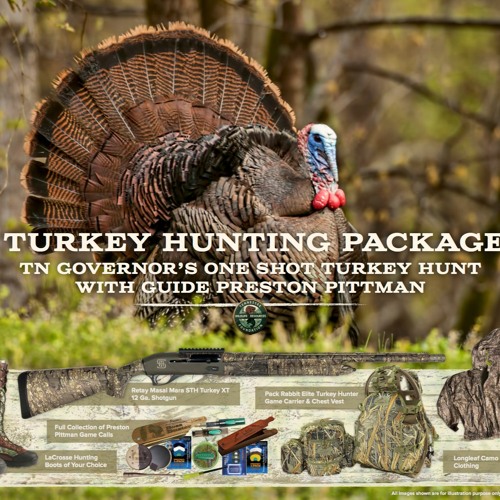 Stream episode TW 191 - Tennessee Conservation Raffle by Tennessee ...