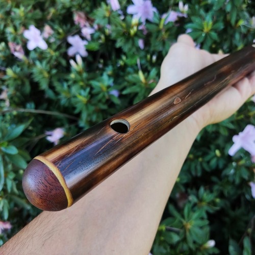 Stream Low D Hijaz kar scale by Rui Gomes | Listen online for free on ...