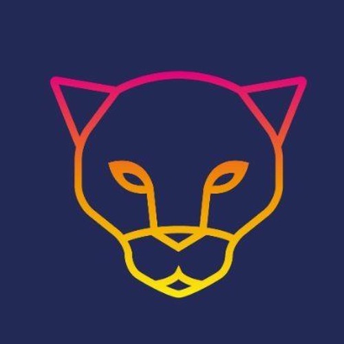 Stream episode Shuri Network Podcast - What is a CIO? - S1E5 by Shuri ...