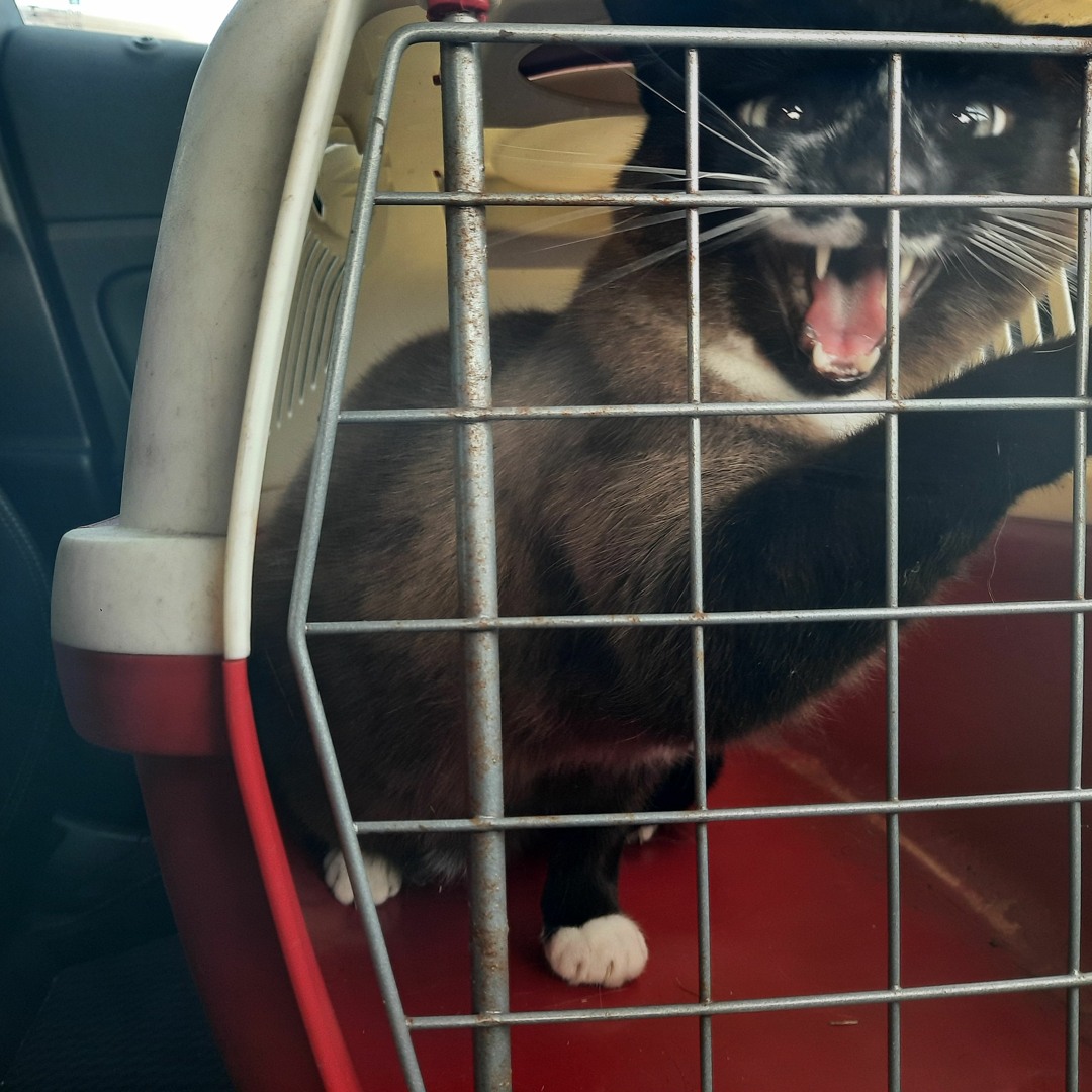 Stream Mix 20 B&H And A Packet Of Rizlas by Goonwid | Listen online for ...