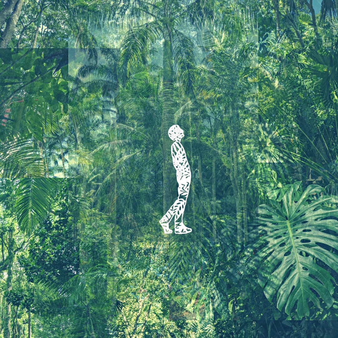 Stream Rainforest by Nova Funk | Listen online for free on SoundCloud