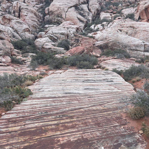 Stream Life by CREE IKUKO | Listen online for free on SoundCloud