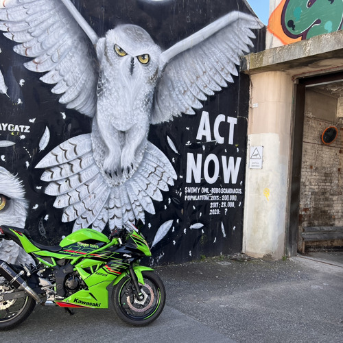 Stream Danger Russ - Tech House To Ride by Danger Russ | Listen online ...