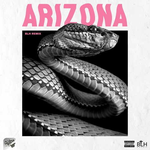 Stream Raptune Label 2 | Listen to BLH - Arizona (Album) playlist ...