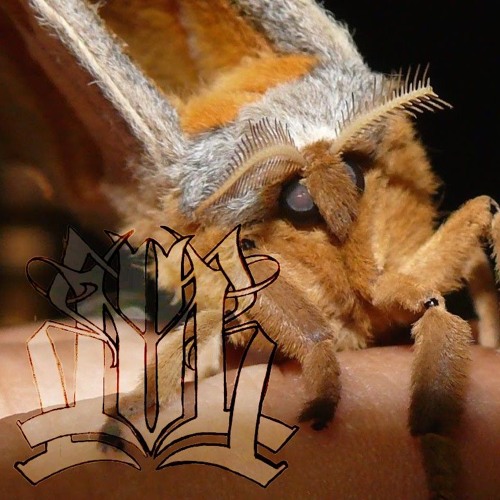 Stream Moth and Rust - Castle on the Sun (live 01/18/25) by nekroniblis ...