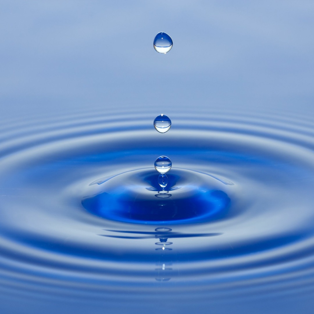 Stream The Moist Song by Biggie Moist | Listen online for free on ...