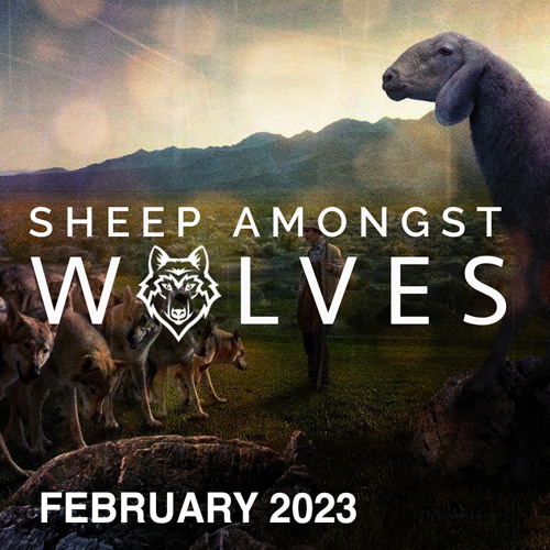Stream Sheep Amongst Wolves. by Little Falls Christian Centre | Listen ...