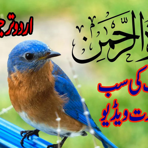 Stream Surah Rahman With wrdu Translation | Surah Ar Rahman by 786 ...