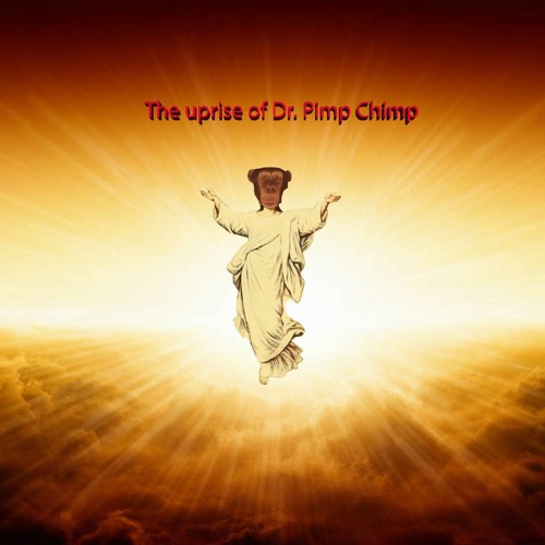 Stream The uprise of Dr. Pimp Chimp by Dr Pimp Chimp | Listen online for free on SoundCloud