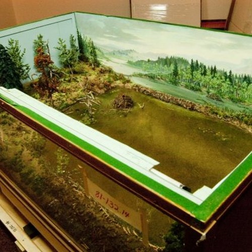 Stream episode Oral history interview with Juan Menchaca, AR.OH.108.1 ...