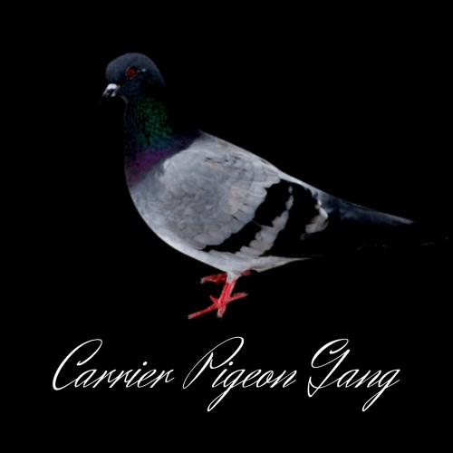 Stream CarrierPigeonGang - Carrier Pigeon Gang prod. Carrier Pigeon ...