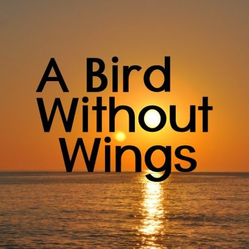 Stream A Bird Without Wings by Ronnie Glenn | Listen online for free on ...