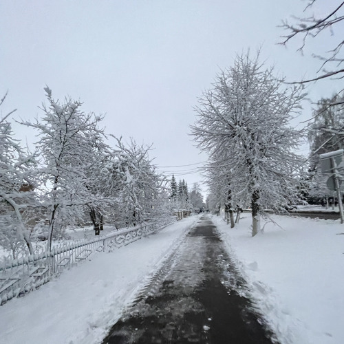 Stream шайни — я знаю (slowed) by YYY | Listen online for free on ...