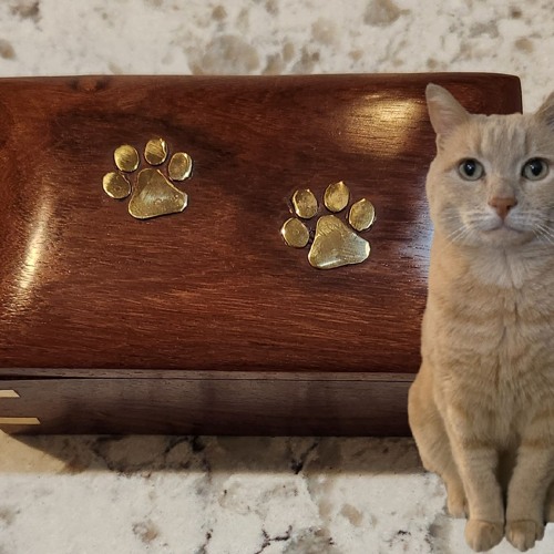 Stream KQAK - DCE - Simba's Remains by Dave Clemens | Listen online for ...