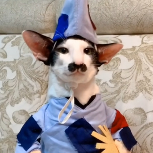 Stream fred figglehorn hyperpop feat. sargent braphog by Kentucky Fried ...