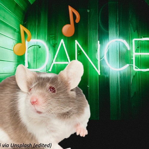 Stream 12 Days Of Christmas Remix - Liam, Max, Josh, Connor by The ...