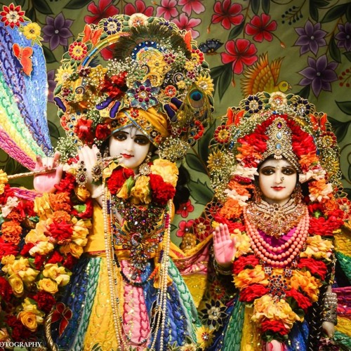 Stream Acyuta Gopi Devi Dasi & Gaura Vani Das · Kevalastakam · HNI · 5. ...