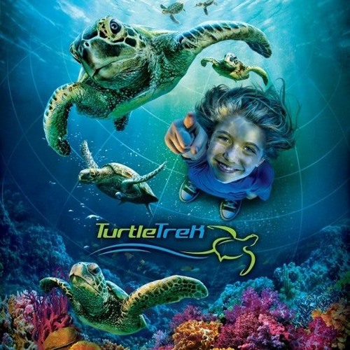 Stream Seaworld Orlando Turtle Trek Theme (Extended) by YaDigzzz ...