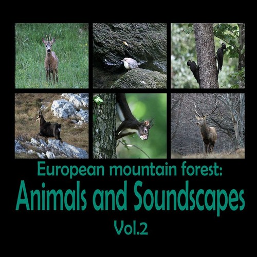 Stream EUROPEAN MOUNTAIN FOREST: ANIMALS AND SOUNDSCAPES vol.2 - FX ...