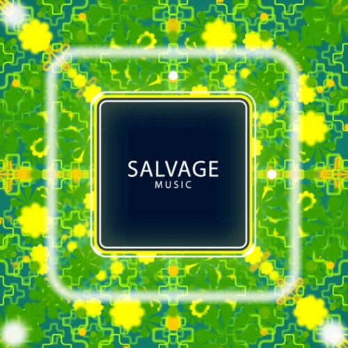 Stream Melodic Techno Music Mix 2022 V2 by Salvage Music | Listen online for free on SoundCloud