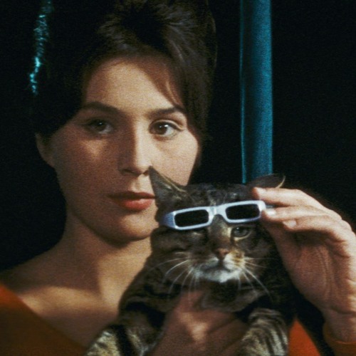 Stream (glasses cat julian) by catcollector | Listen online for free on ...