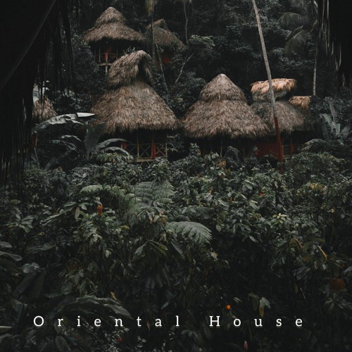 Stream Oriental House Vol.1 by Kaiotto | Listen online for free on SoundCloud