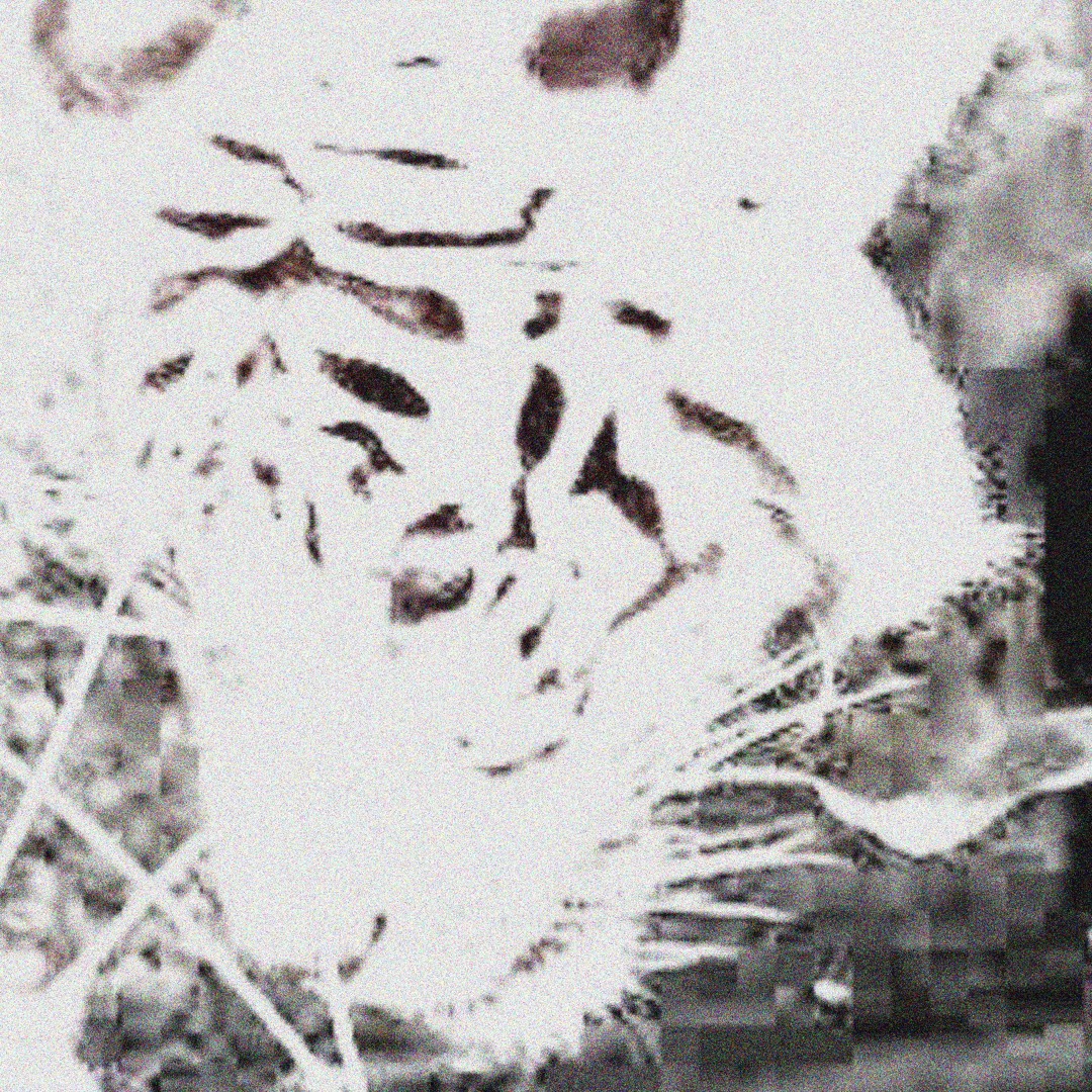 Stream lil pAx | Listen to 2hollis playlist online for free on SoundCloud