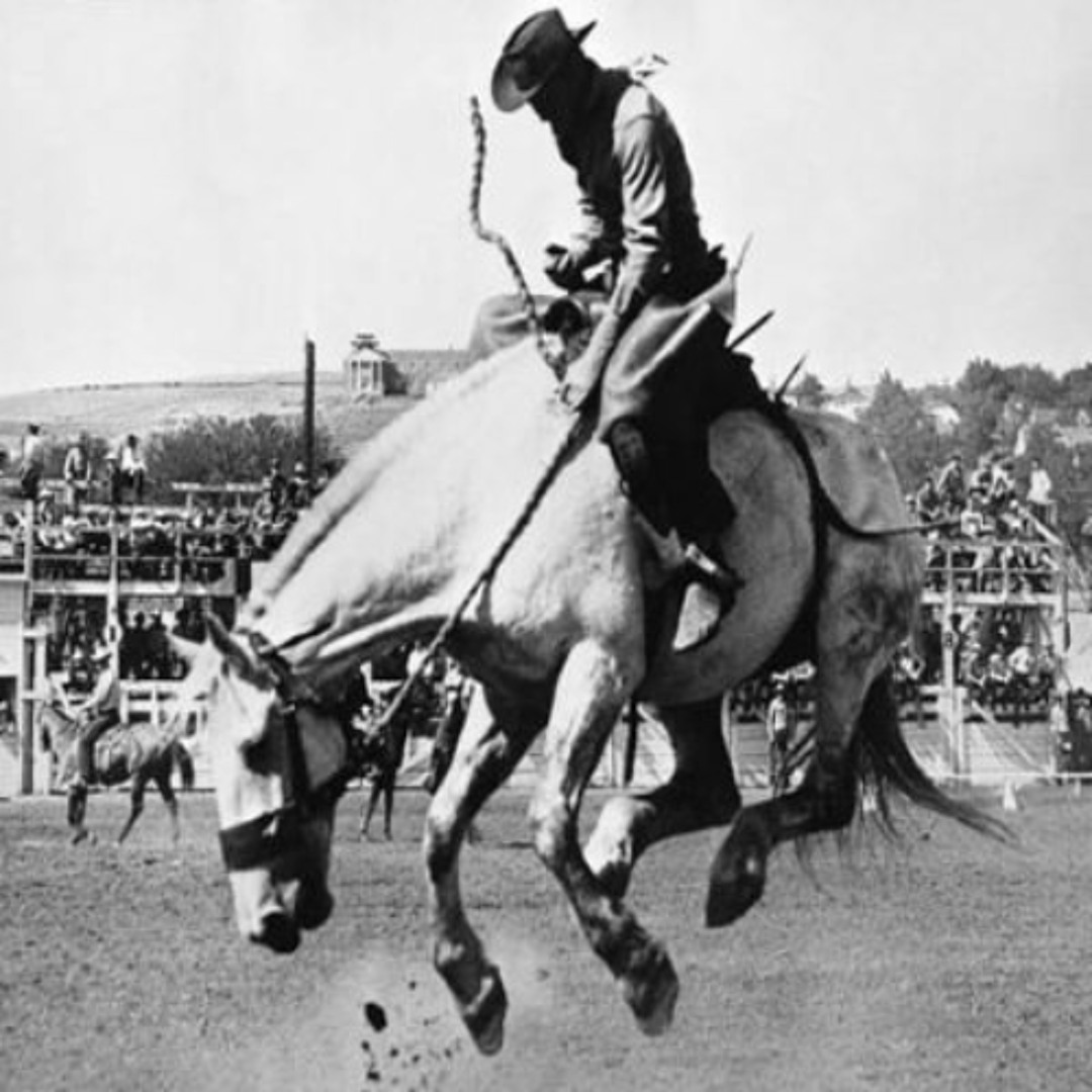 Stream FRIEND INSIDE ME - Goose'd (DELTARUNE Chapters 3+4 release ...