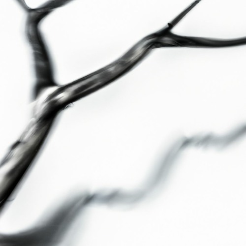 Stream cockcum | Listen to Sigma patrick bateman fellacio playlist ...