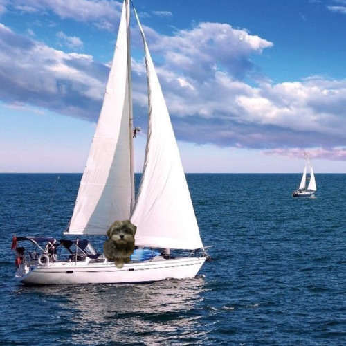 Stream 9vitals | Listen to sailboat playlist online for free on SoundCloud