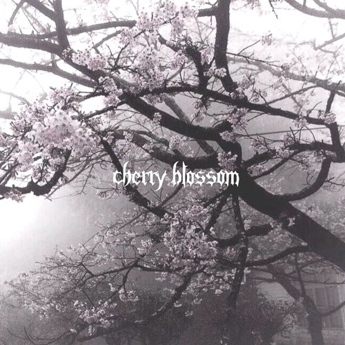 Stream CHERRY BLOSSOM by Ryzix | Listen online for free on SoundCloud