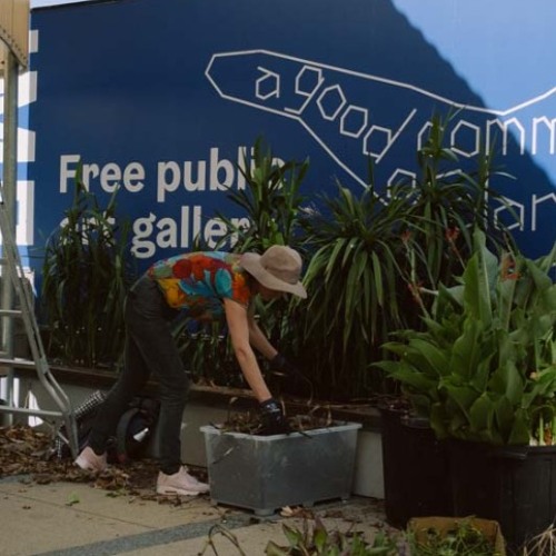 Stream How does your garden grow? Panel discussion with Caitlin ...